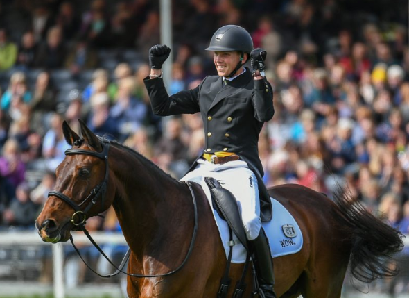 Stubben Freedom Bridle Hire | Forelock and Load