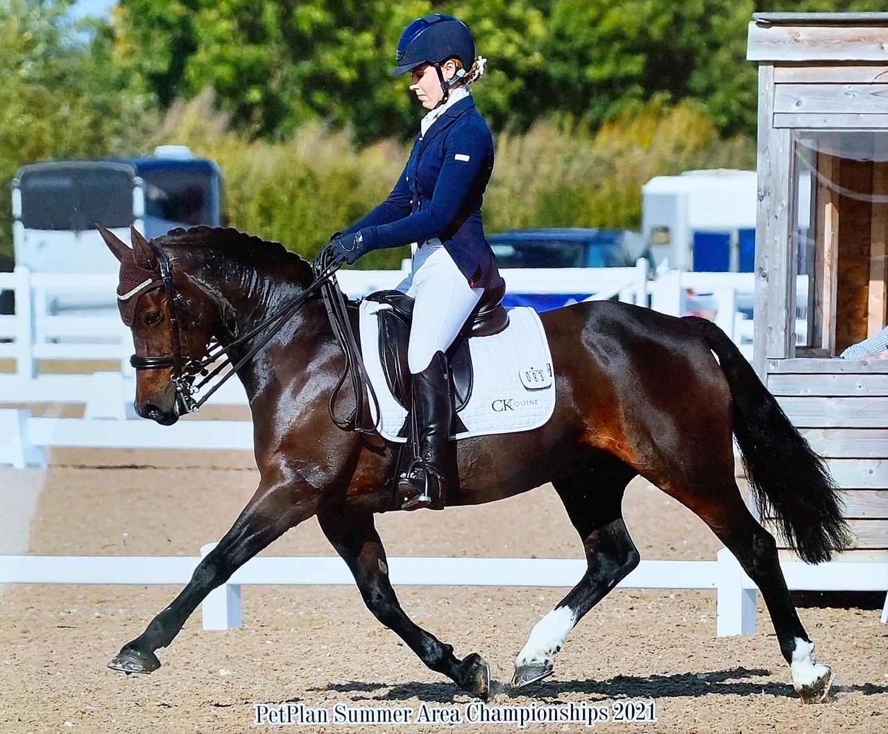 Kate Sanderson | Forelock and Load