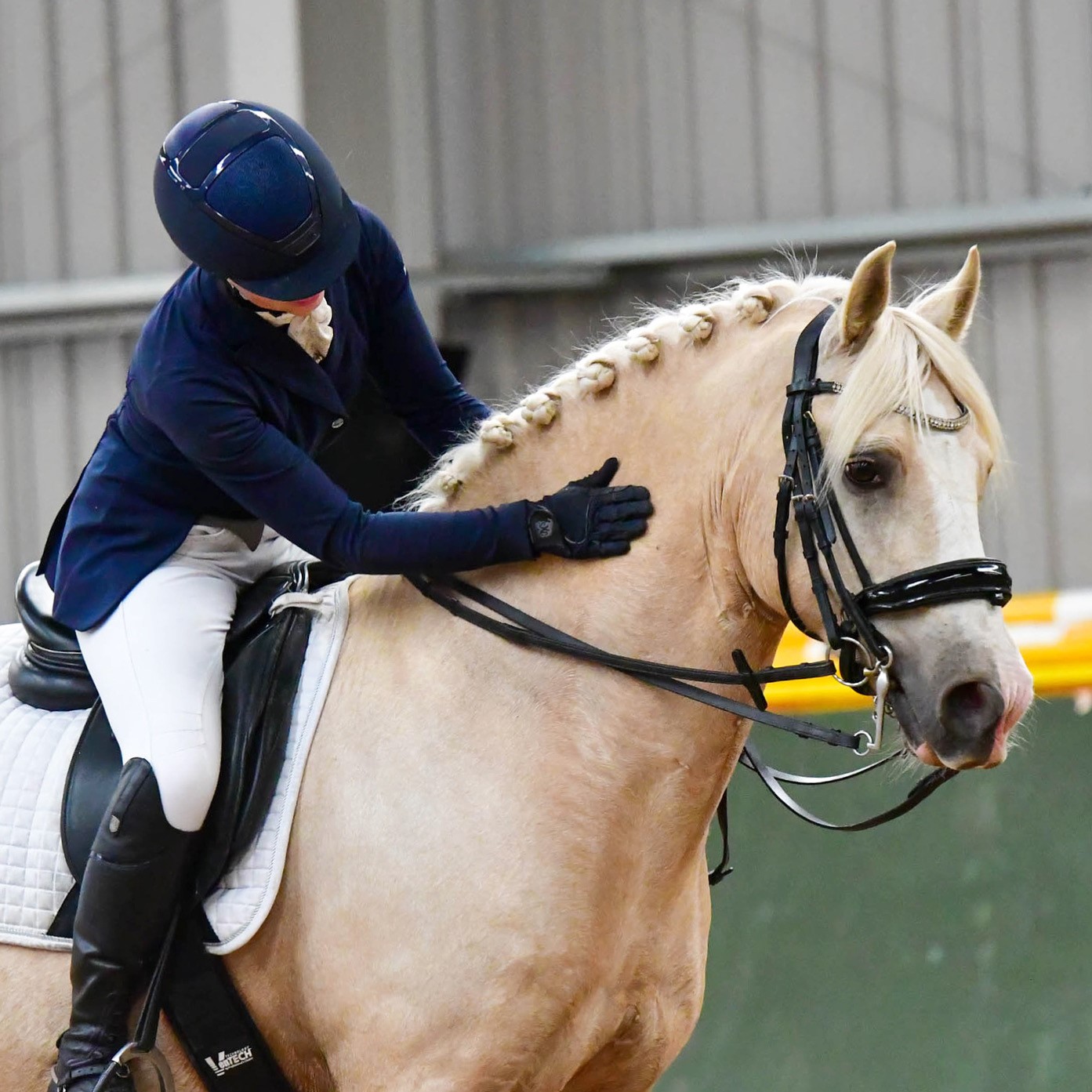 Q&A with Kate Sanderson - Forelock and Load Blog