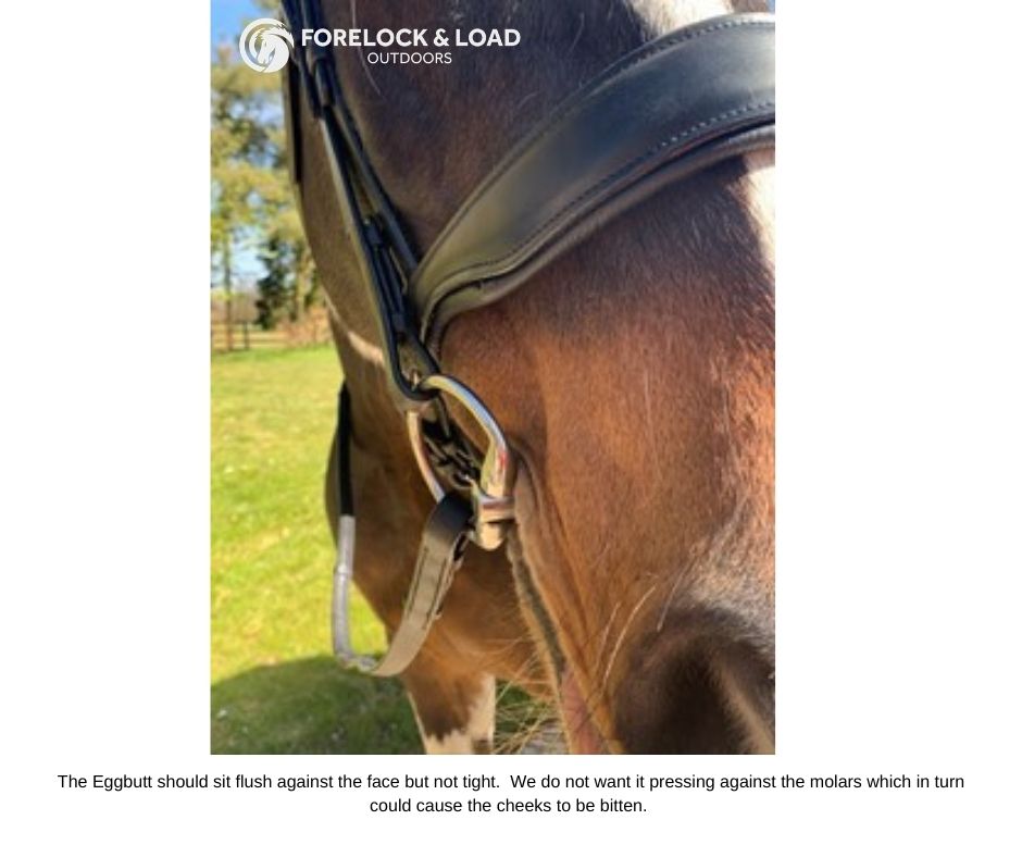 What do we mean by Rein Tension and Bit Placement? - Forelock and Load Blog