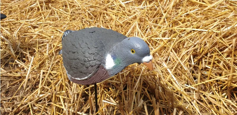 DJ Decoy Enforcer Pro Series Pigeon Shell Decoys