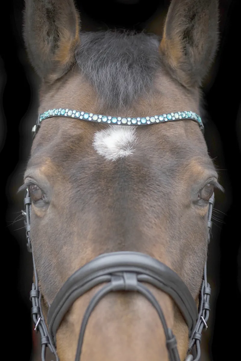 Stubben MagicTack Inlay Caribbean