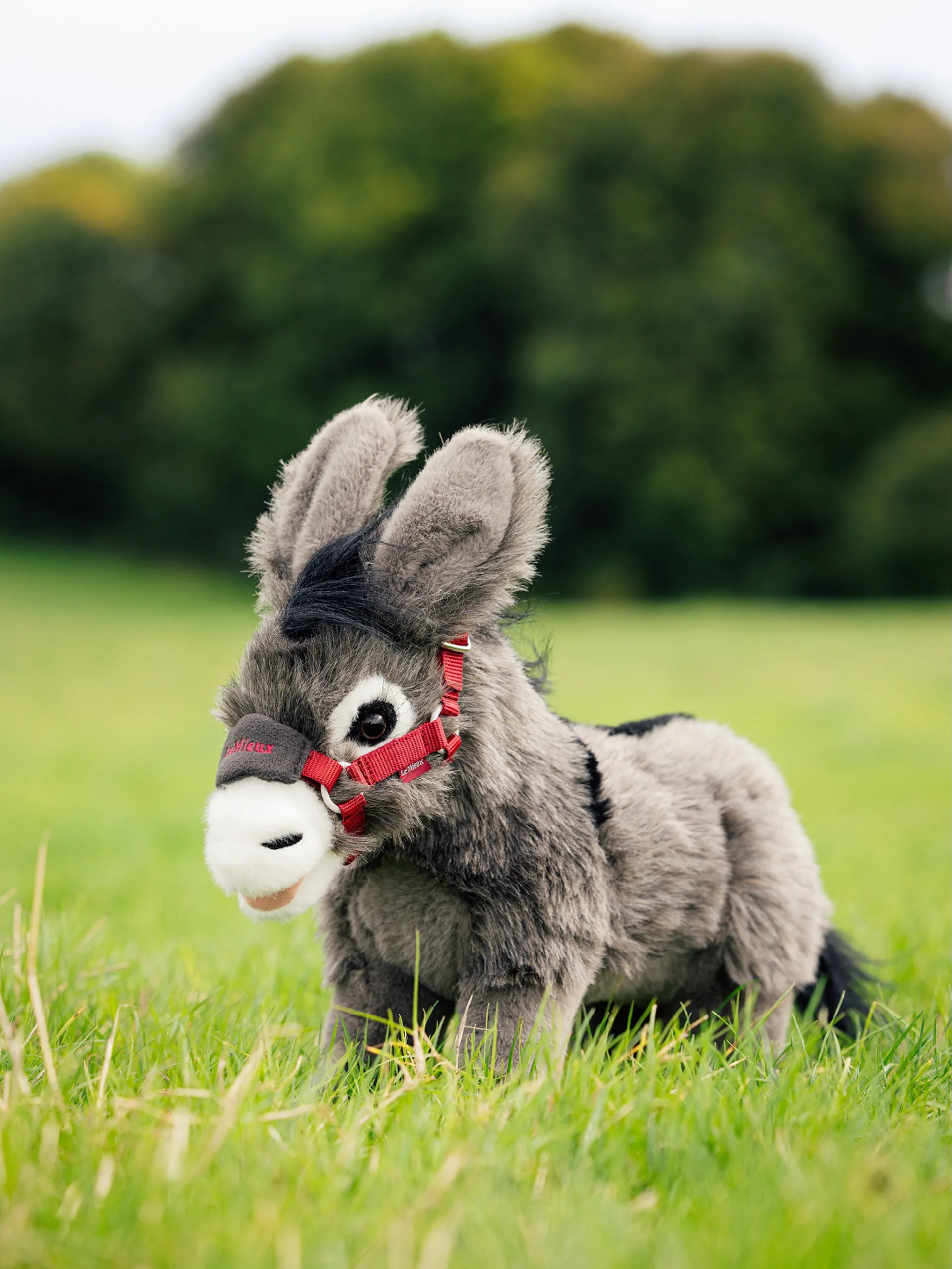 LeMieux Toy Donkey Daphne