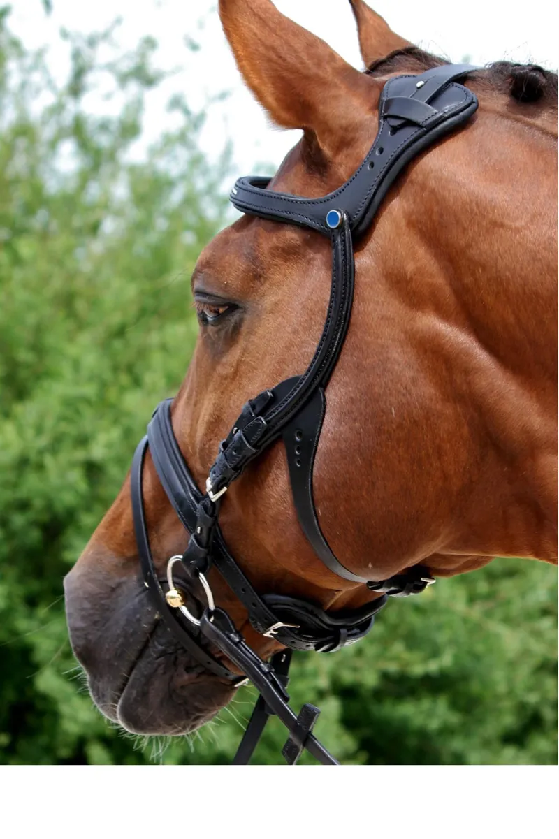 Stubben Freedom Bridle Black